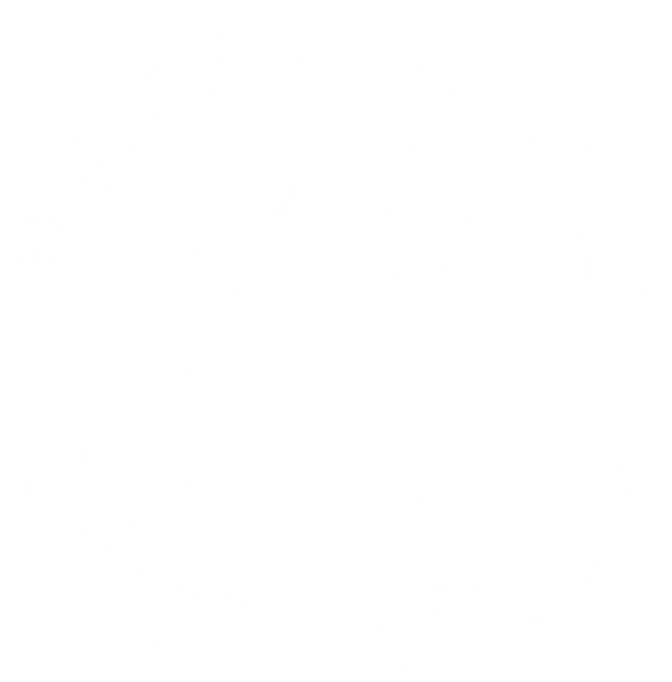 25 Jahre UN Global Compact - Global Compact Network Austria